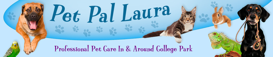 Pet Pal Laura LLC | Professional pet care in and around College Park