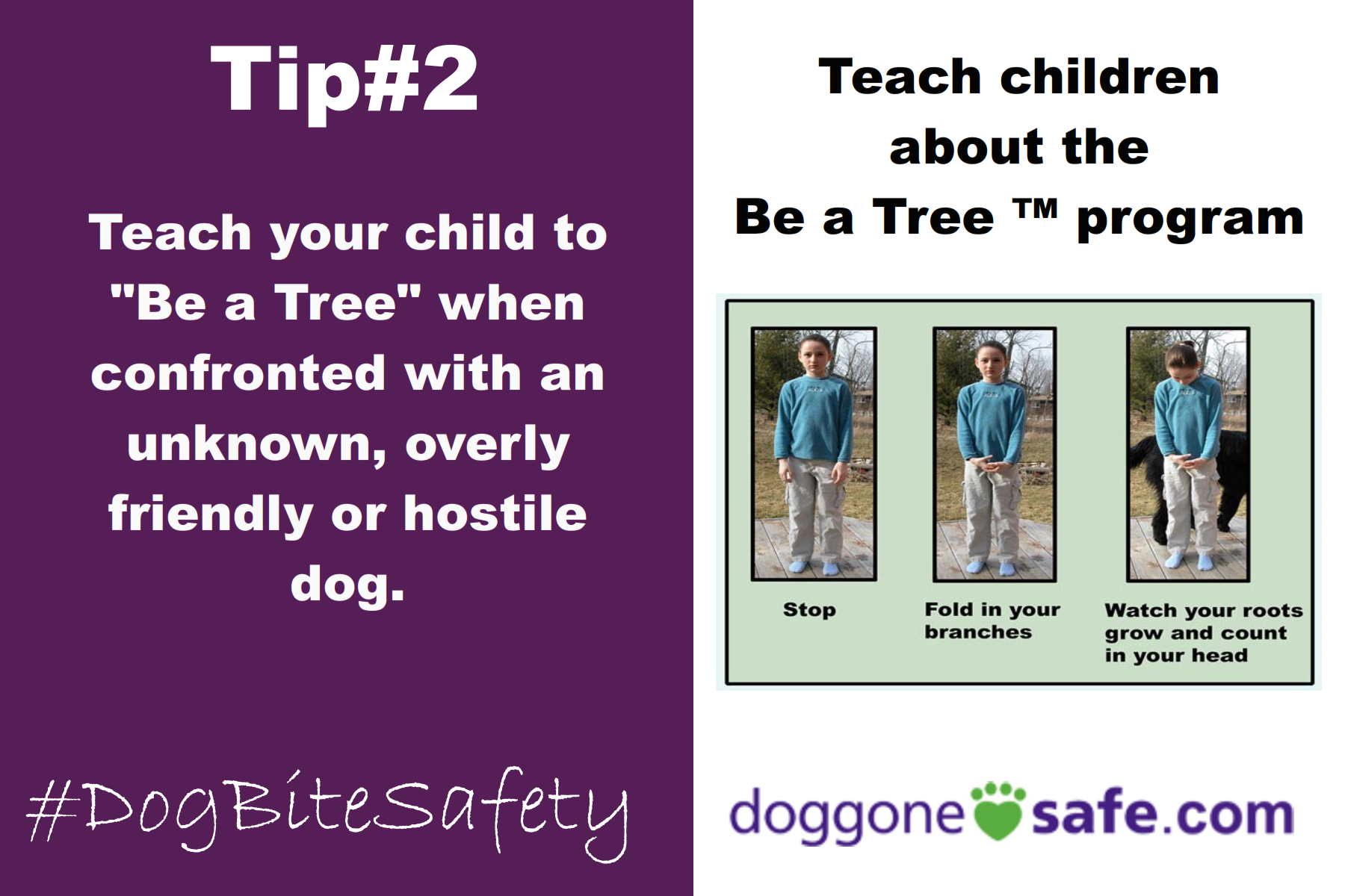 Dog Bite Safety Tips | Pet Pal Laura LLC
