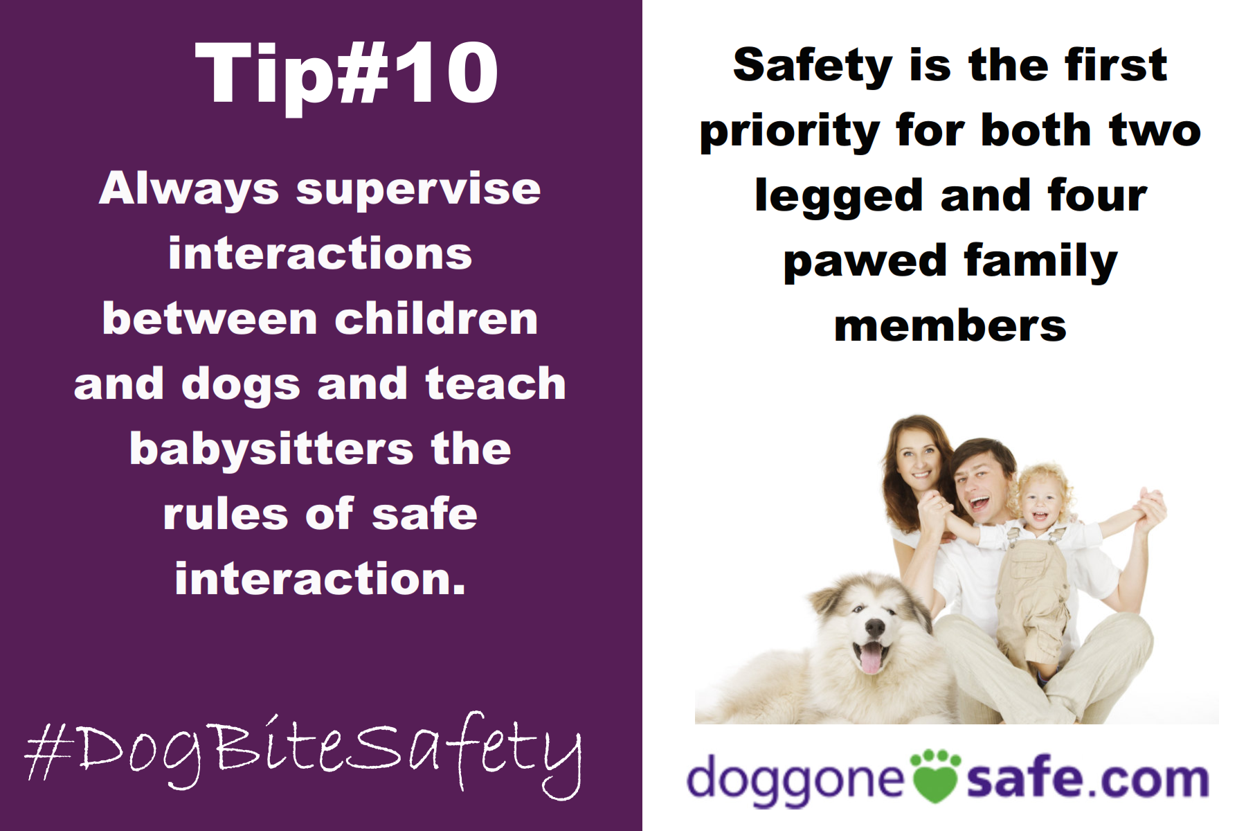 Dog Bite Safety Tips – Pet Pal Laura LLC